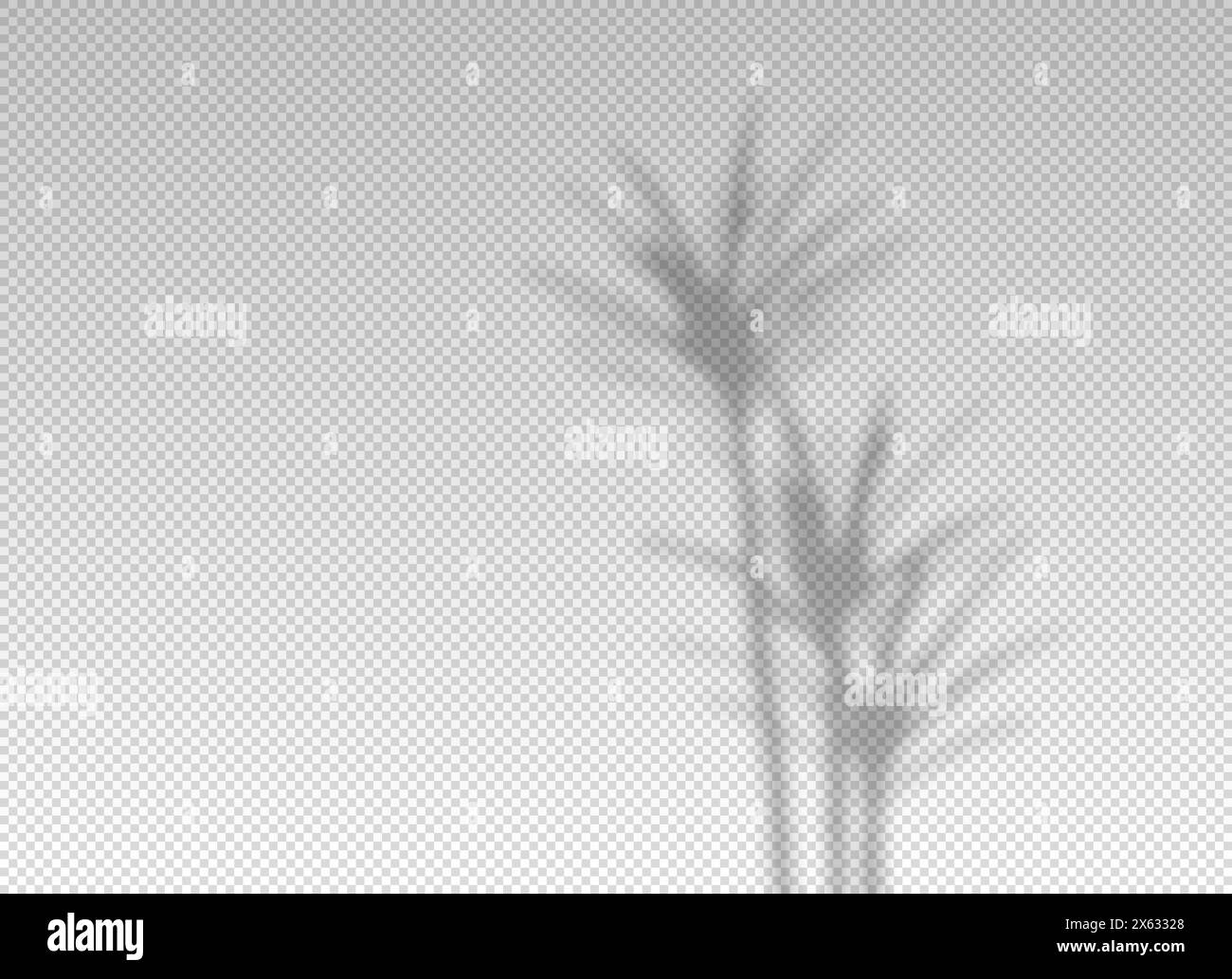 Shadow of leaf from window. Shadows palm leaves isolated on transparent ...