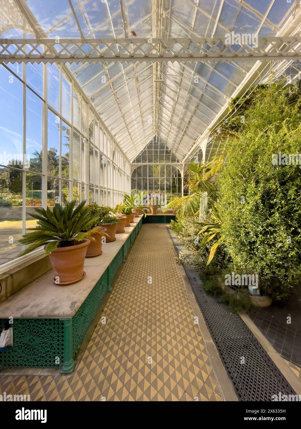 Victorian conservatory hi-res stock photography and images - Alamy