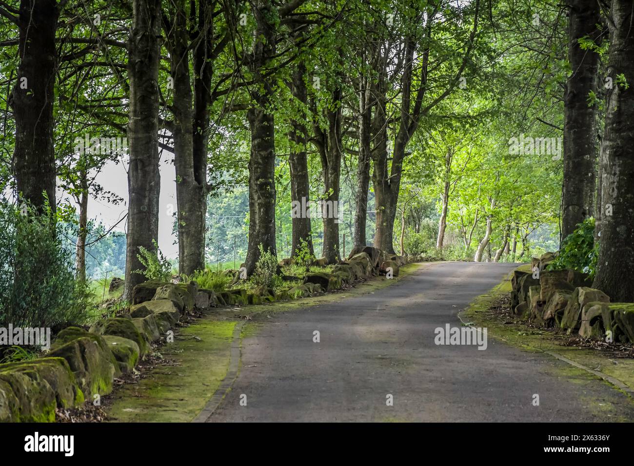 Midlands meander landscape in Kwazulu natal kzn south africa Stock ...