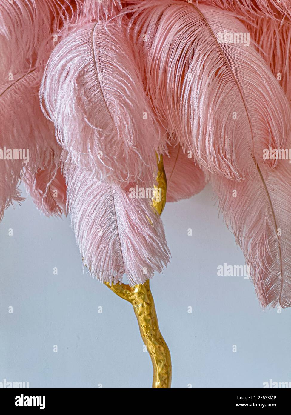 Close-up of pink ostrich feather lampshade with gold stand against a ...
