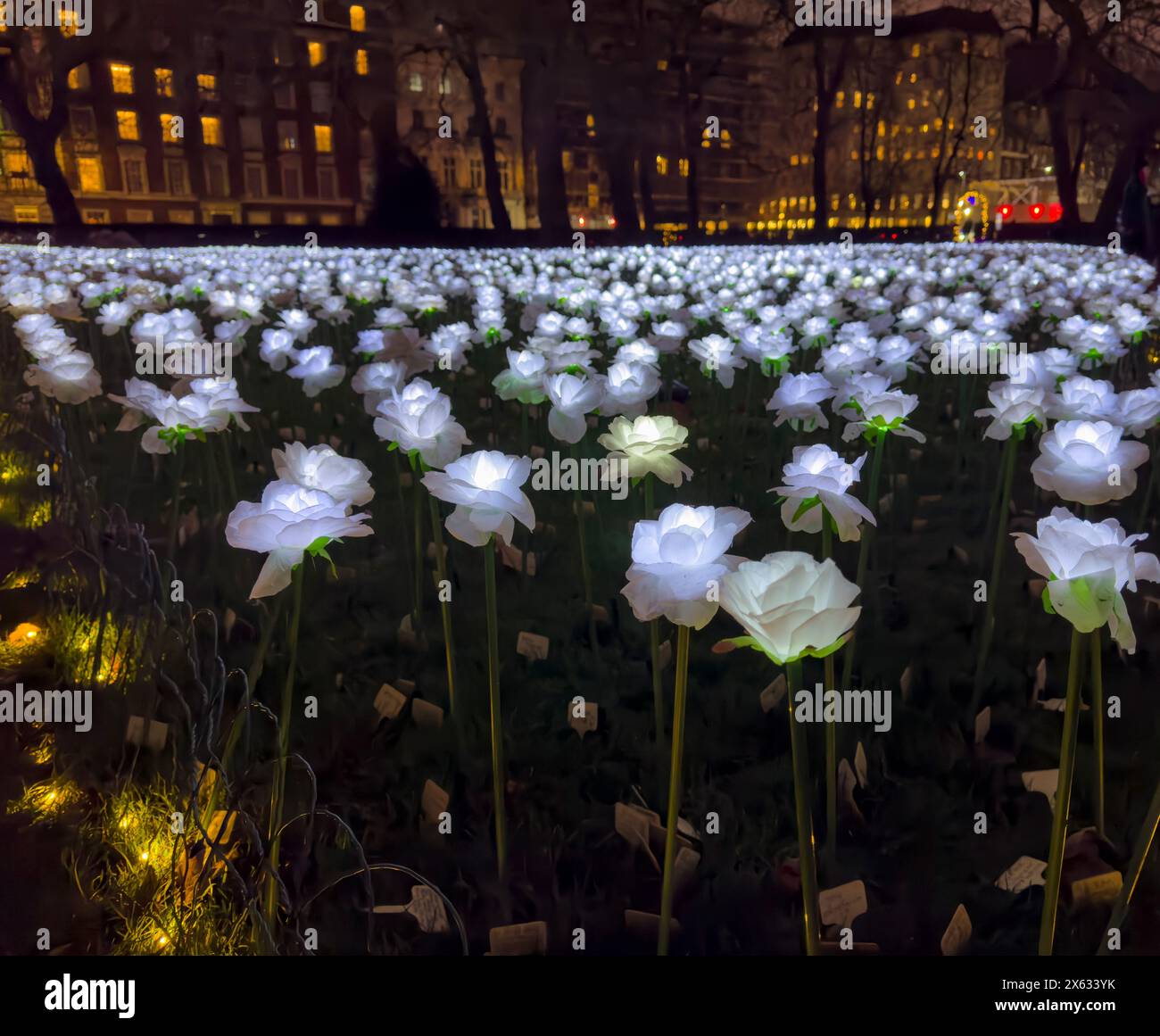 Illuminated faux white roses in the The Ever After Garden in Grosvenor ...