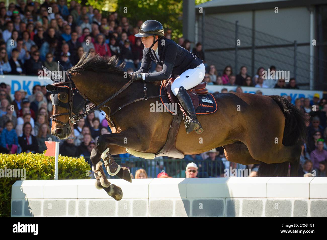 Hamburg, Germany. 12th May, 2024. Equestrian sport/jumping, 93rd German ...