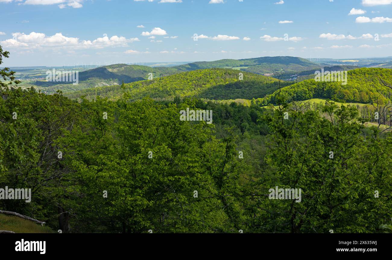 Dragon ston hi-res stock photography and images - Alamy