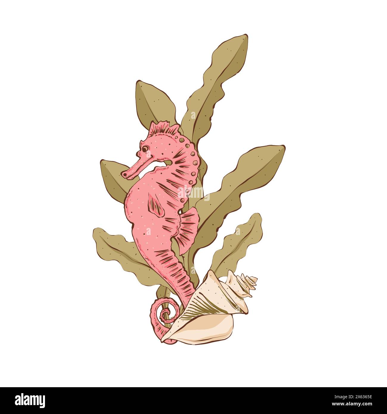 Aquarium composition with shell, bush of algae and seahorse. Undersea ...