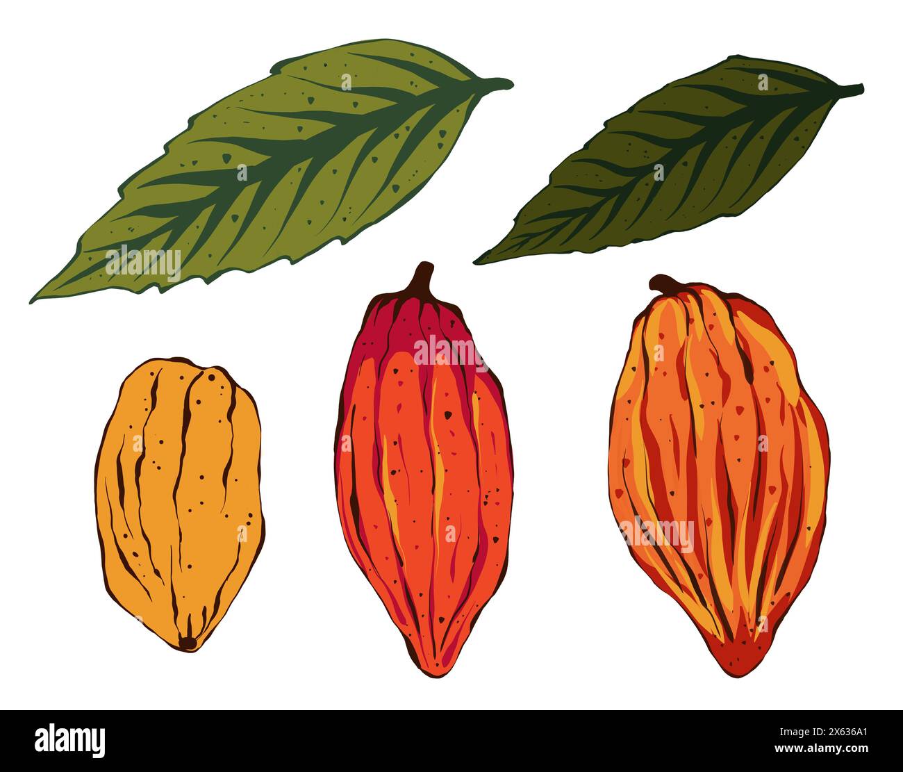 Flat sketch packaging Cut Out Stock Images & Pictures - Alamy