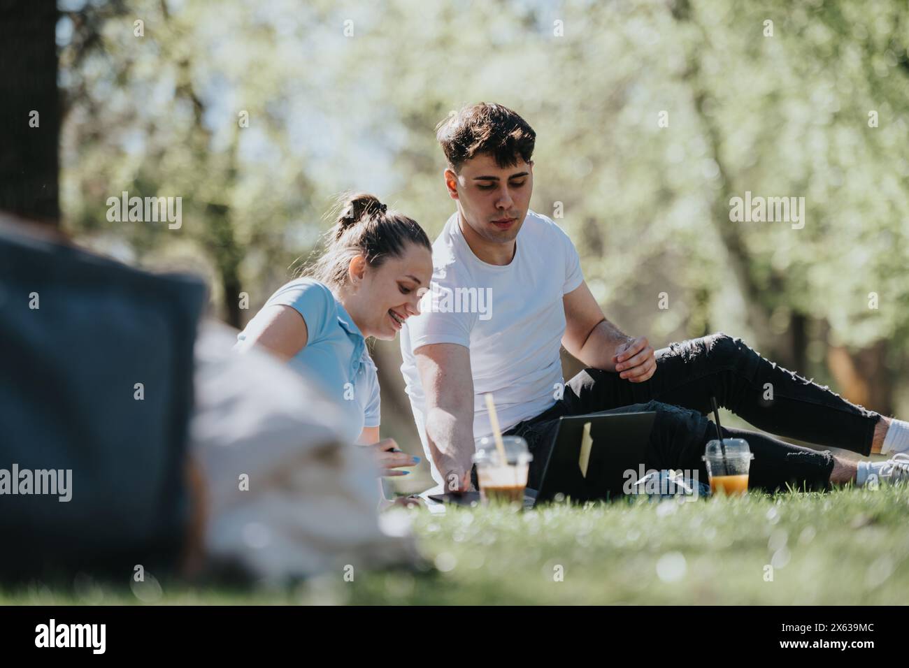 High school friends studying together in sunny city park, showing ...