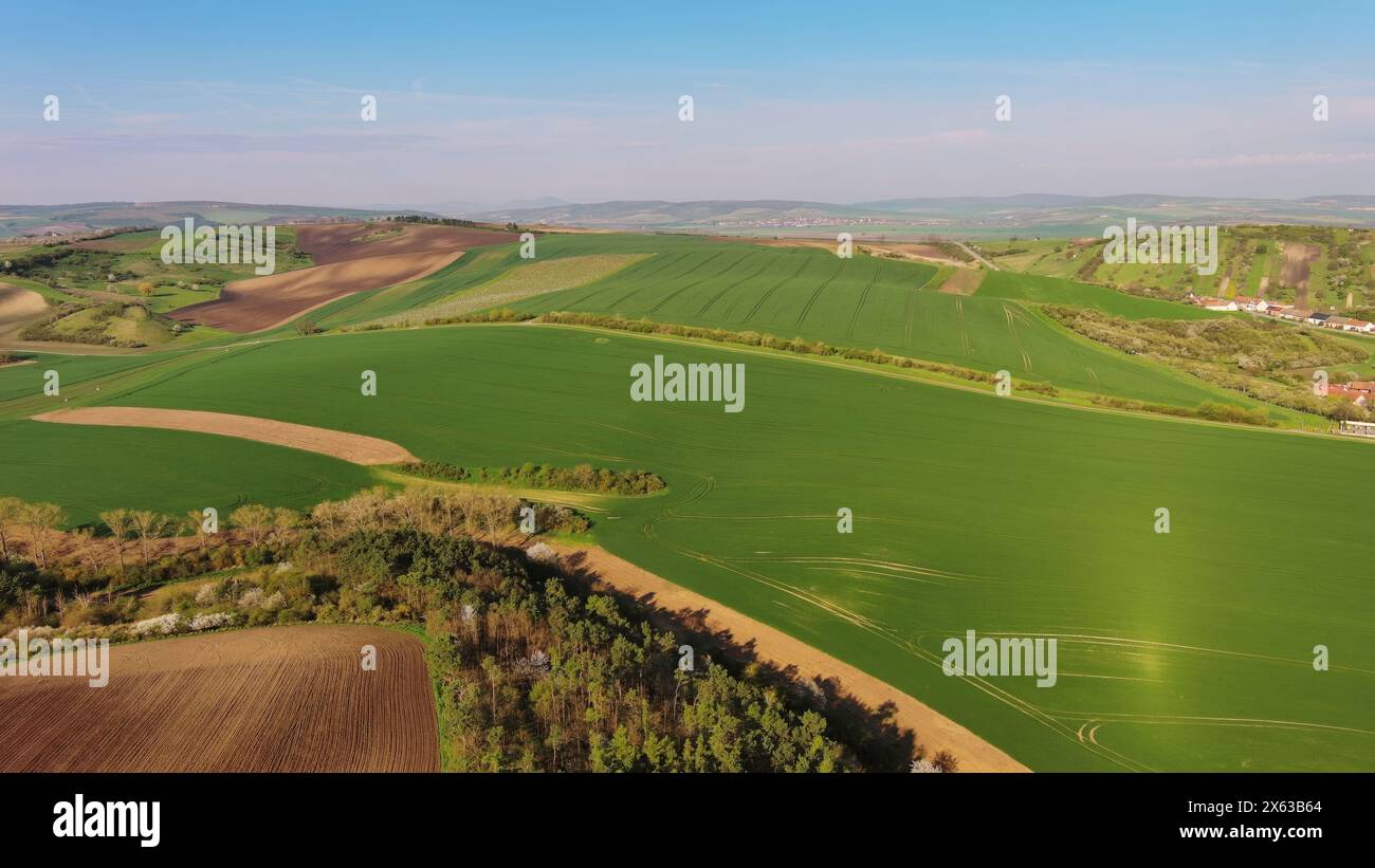 Green wavy hills with agricultural fields Stock Photo - Alamy