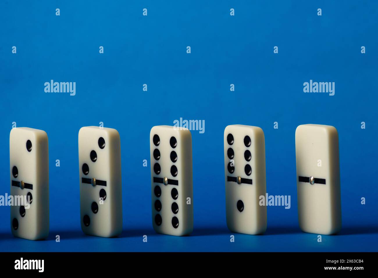 Dominoes standing on a blue background. White Bones Board Game Stock ...