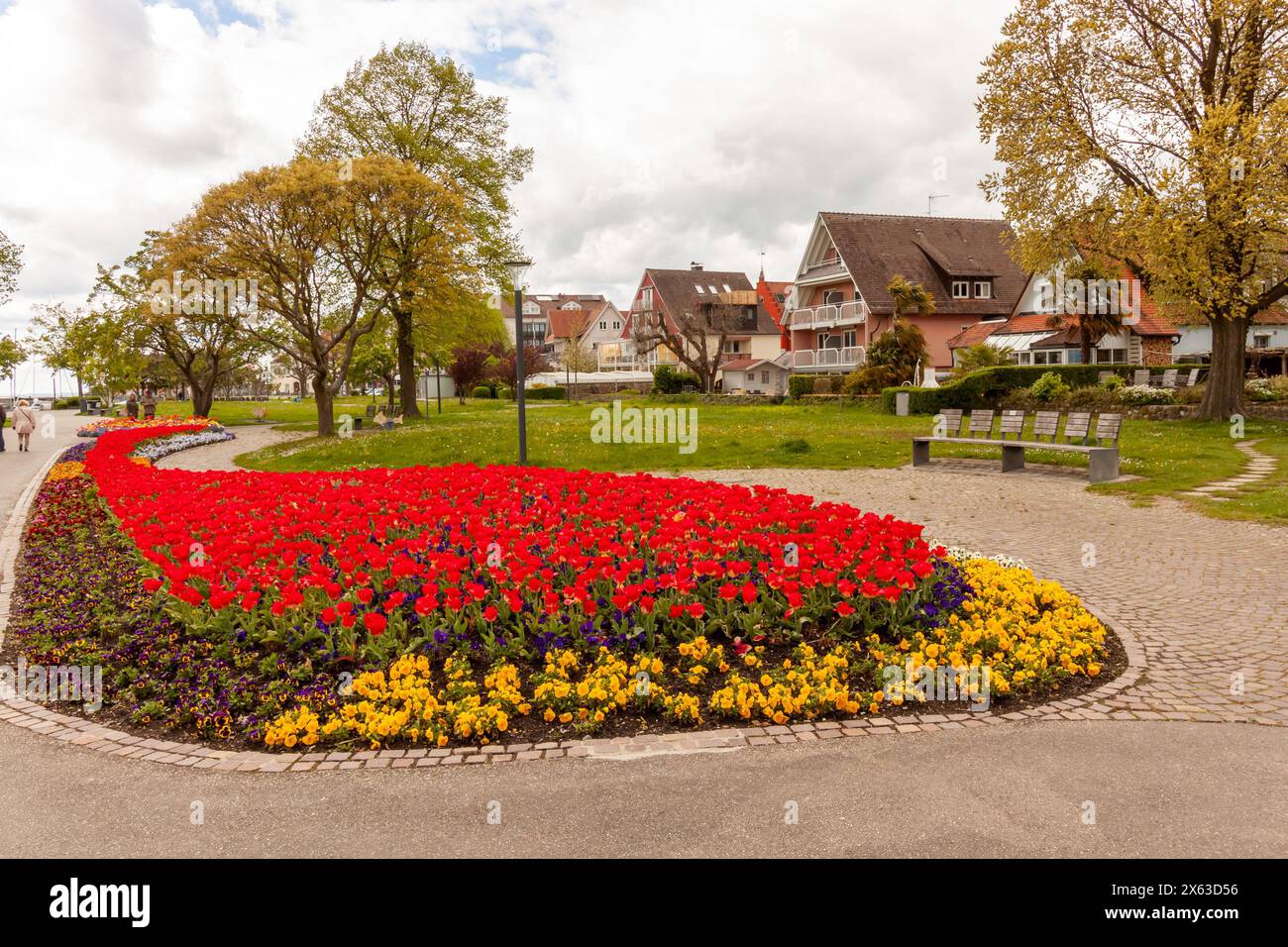 There are many flowers on the Bodensee embankment in Langenargen ...