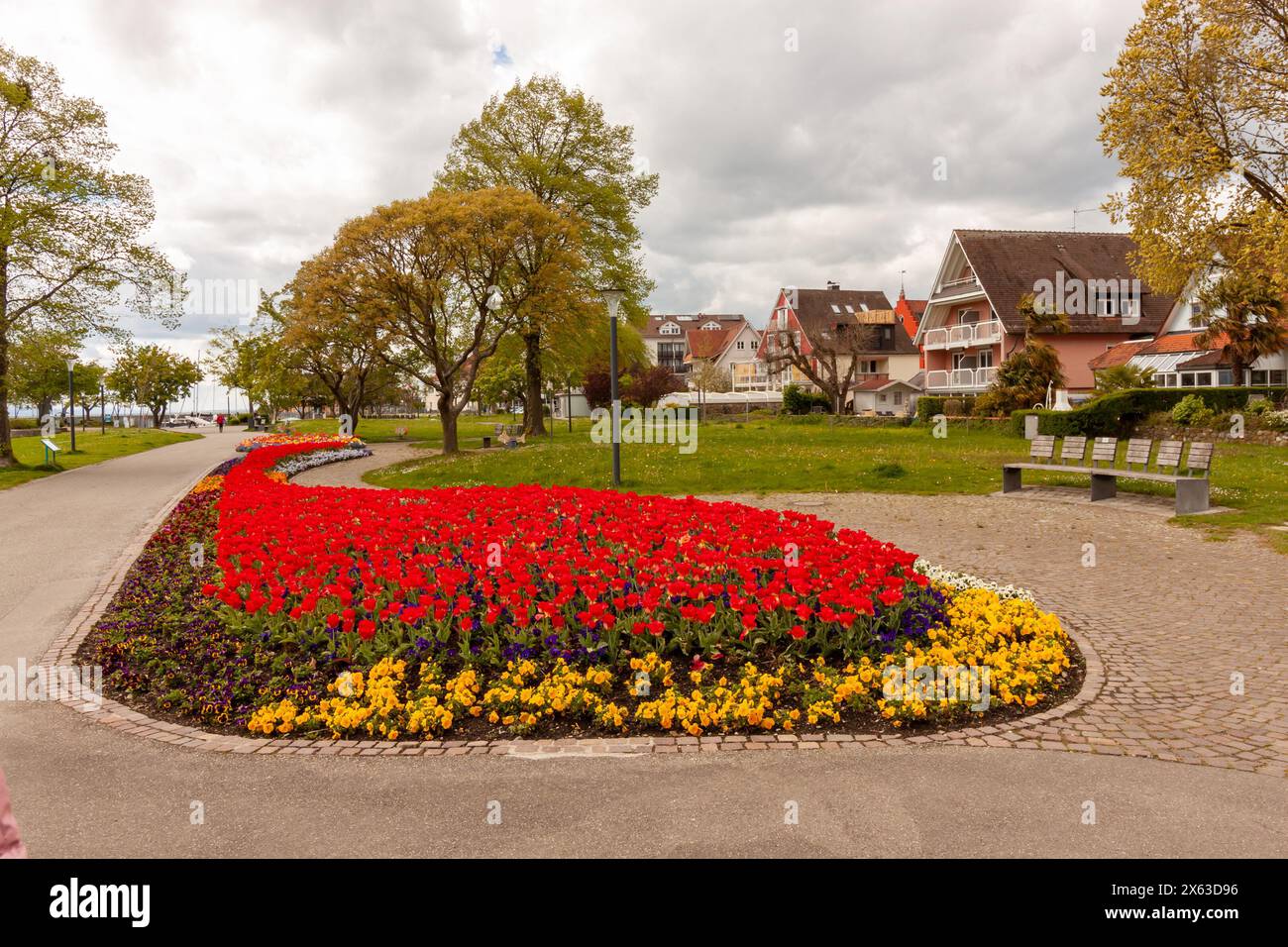 There are many flowers on the Bodensee embankment in Langenargen ...