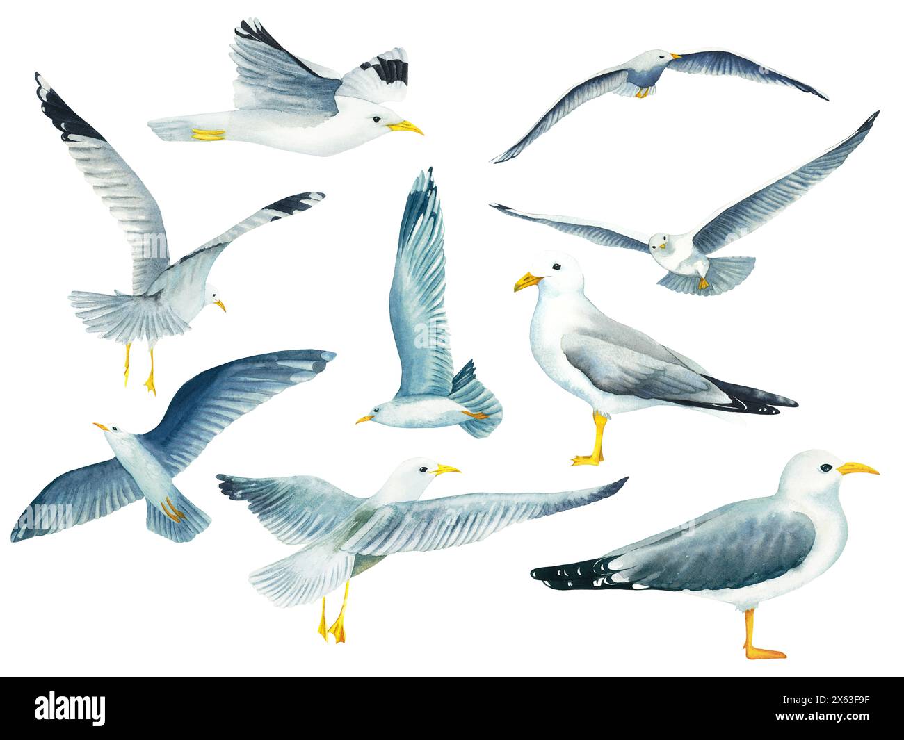 Set ocean animals in Cut Out Stock Images & Pictures - Alamy