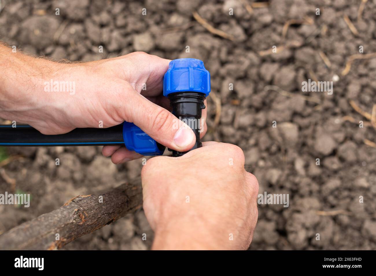 A man installs an automatic drip irrigation system for his garden ...