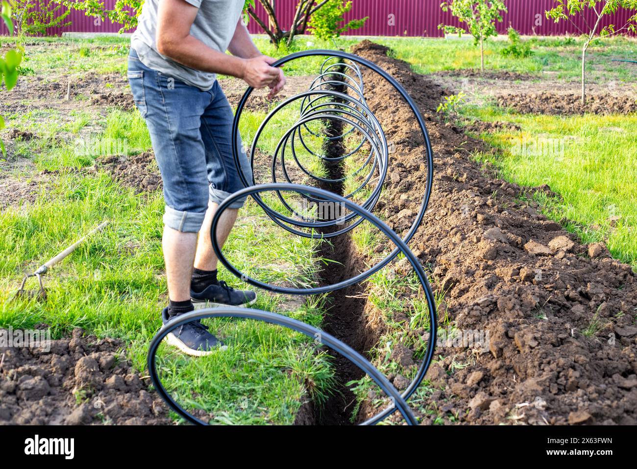 man places a plastic pipe on top of a dug ditch to supply water to a ...