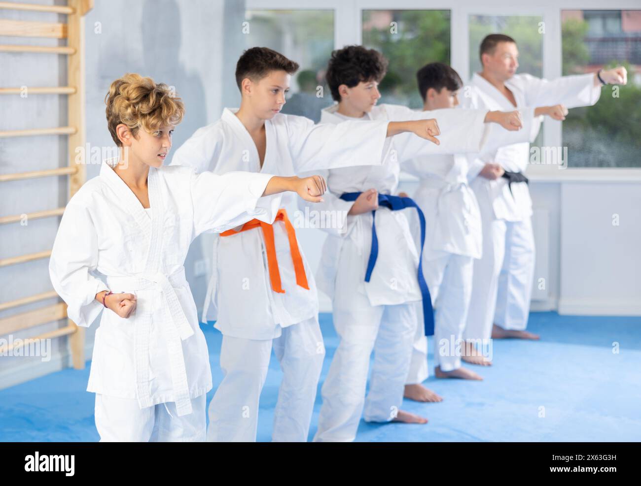 Group of children posing together, practicing karate moves at class ...