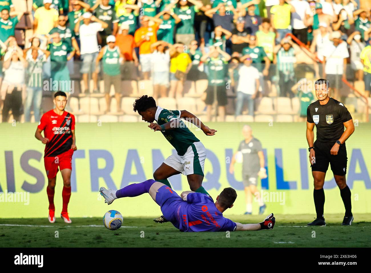 SP - BARUERI - 05/12/2024 - BRAZILIAN A 2024, PALMEIRAS x ATHLETICO-PR ...