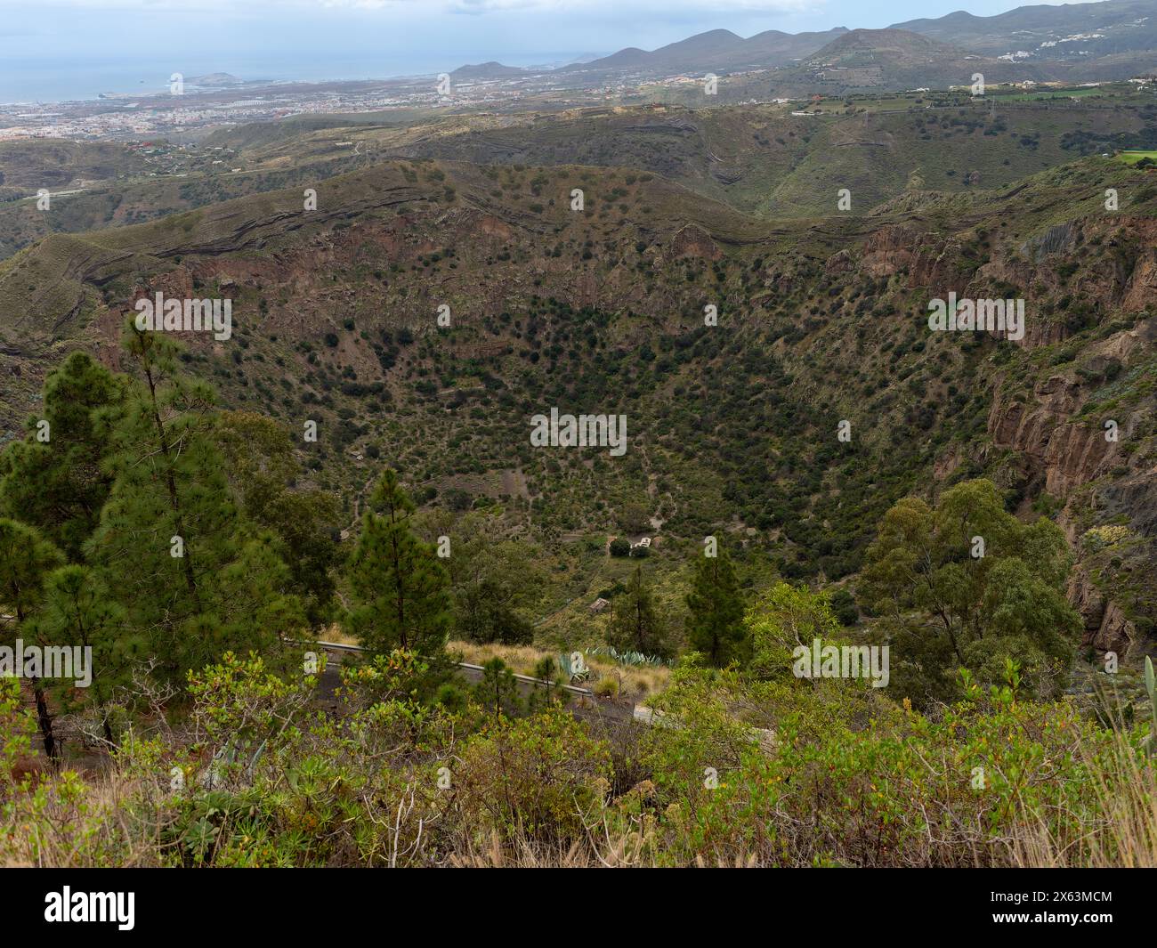 Panoramic view of the Bandama caldera , 1000 meters in diameter and 200 ...