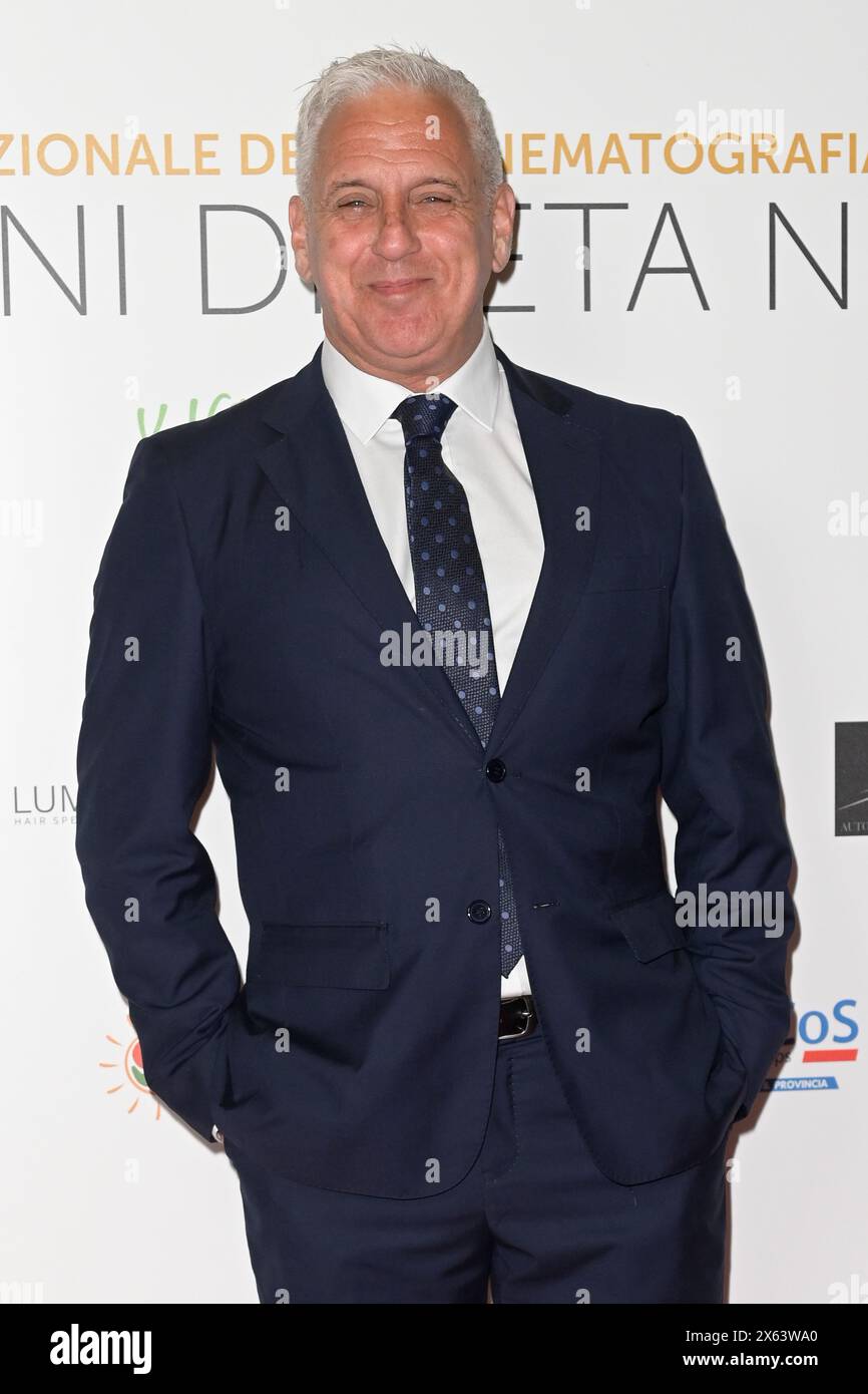 Vincent Riotta attends the red carpet of "Tulipani di seta nera 2014 ...