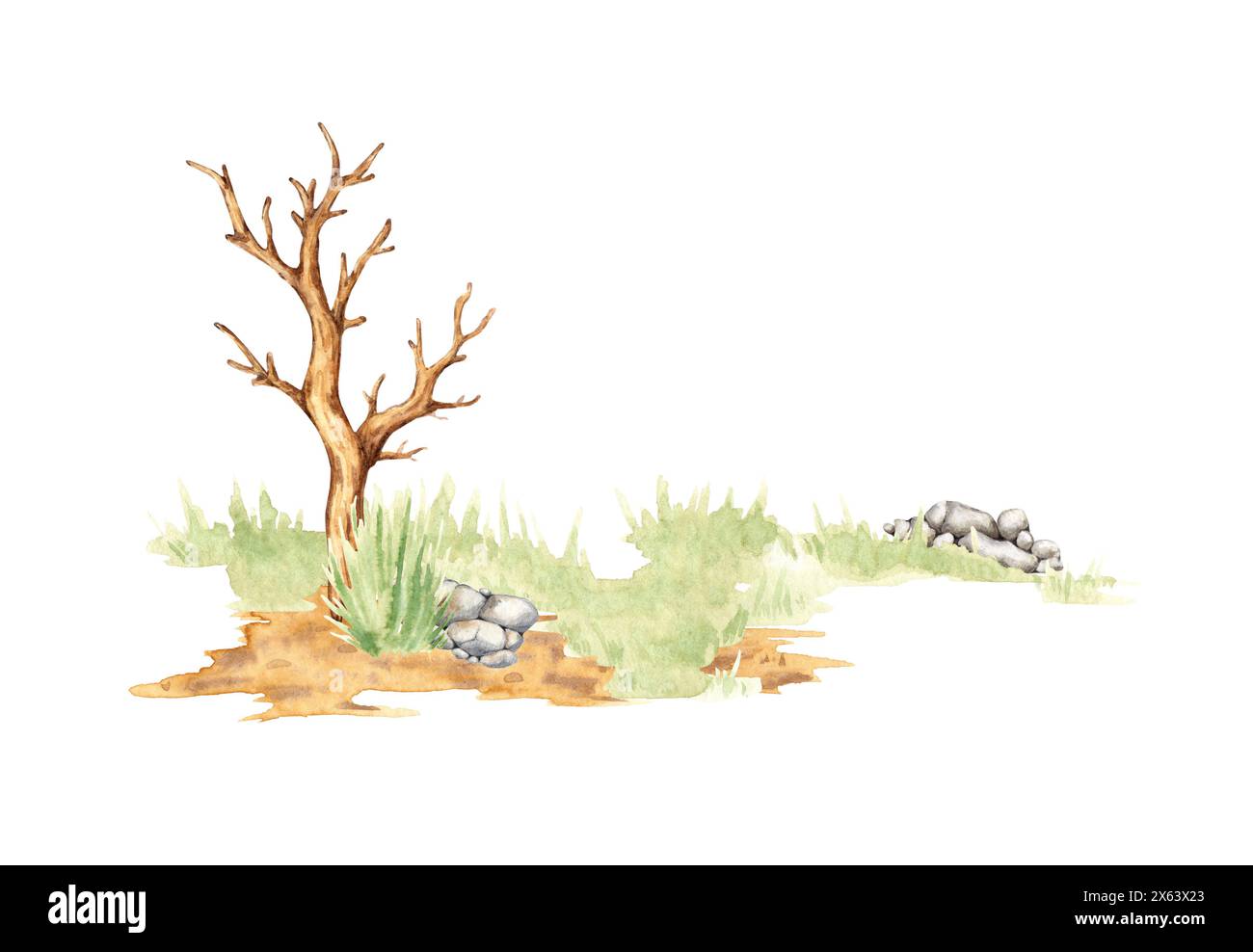 Natural landscape element watercolor illustration. Wildlife forest ...