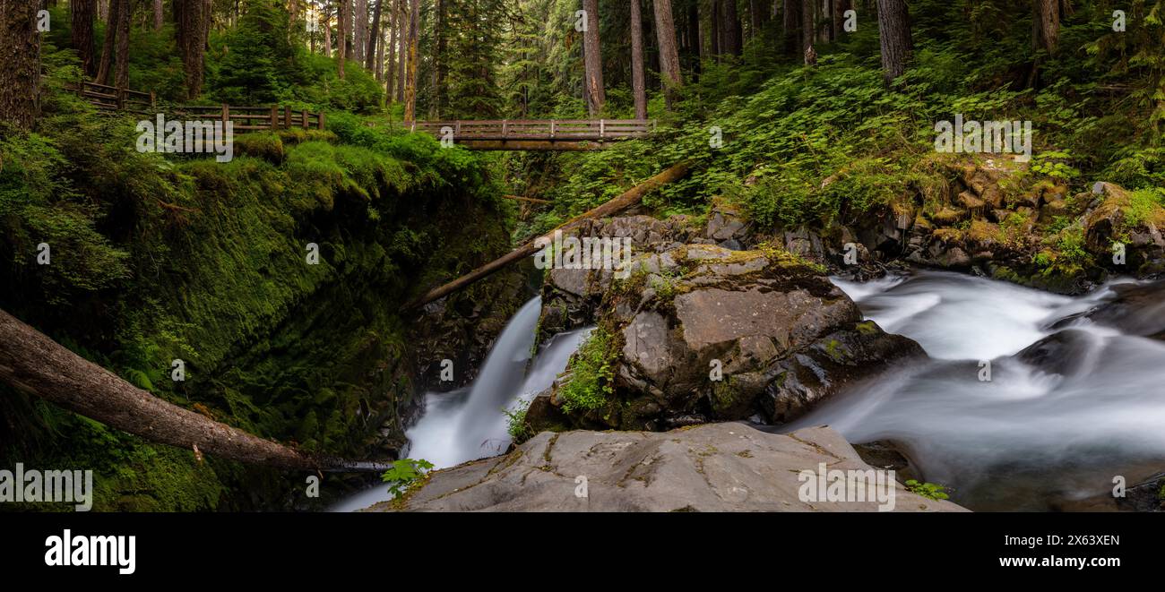 Panorama Of Sol Duc Falls Looking Toward Bridge In Summer in Olympic ...