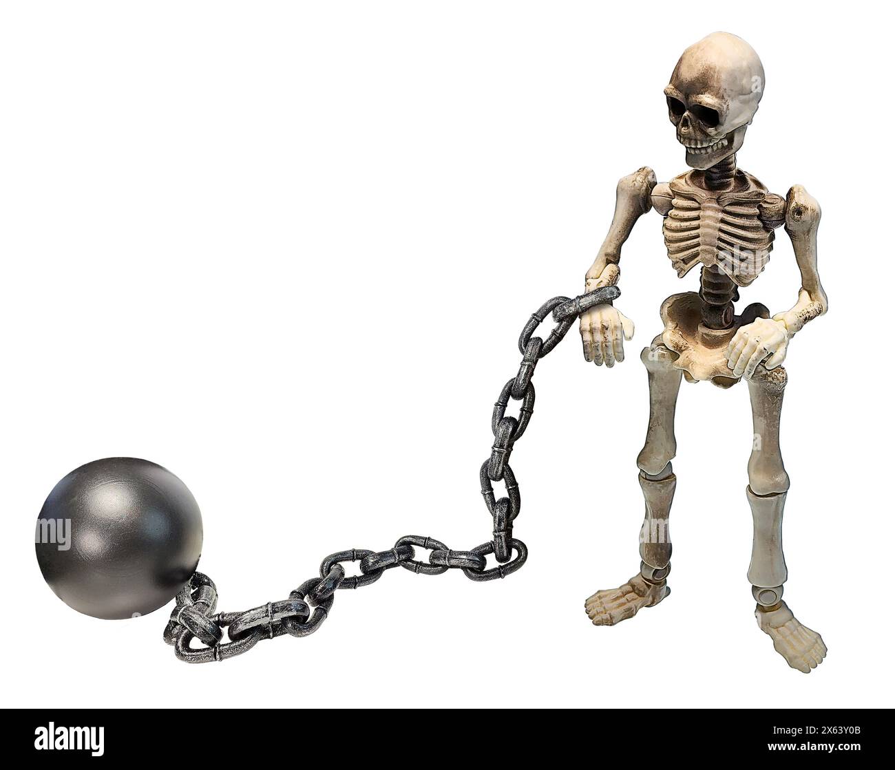 A standing Skeleton holding his hands out with ball and chain Stock ...