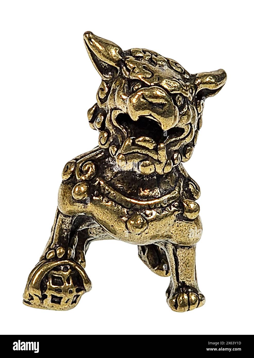 Front view of a male foo dog Stock Photo - Alamy