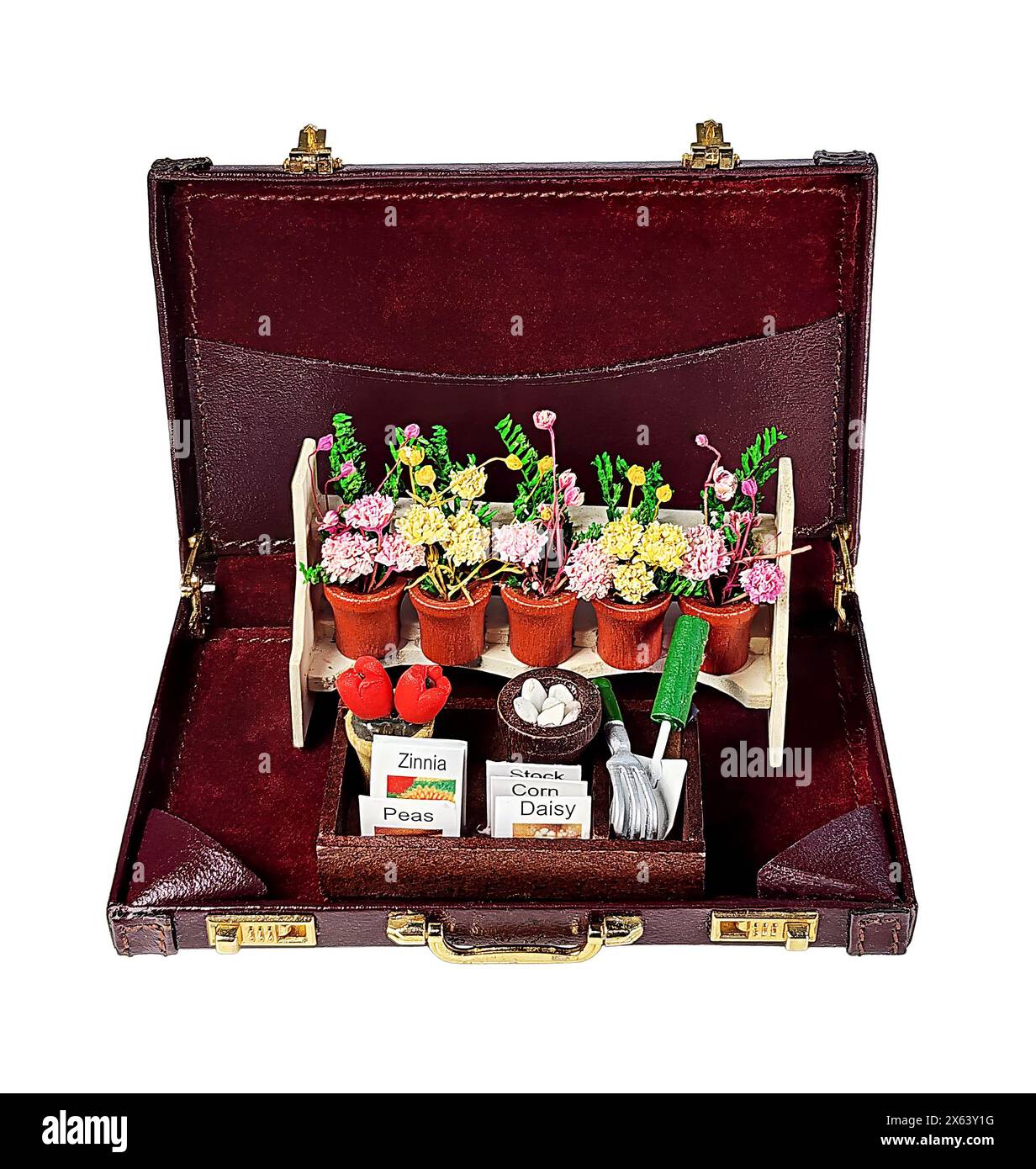 Gardening tools corn seeds hi-res stock photography and images - Alamy