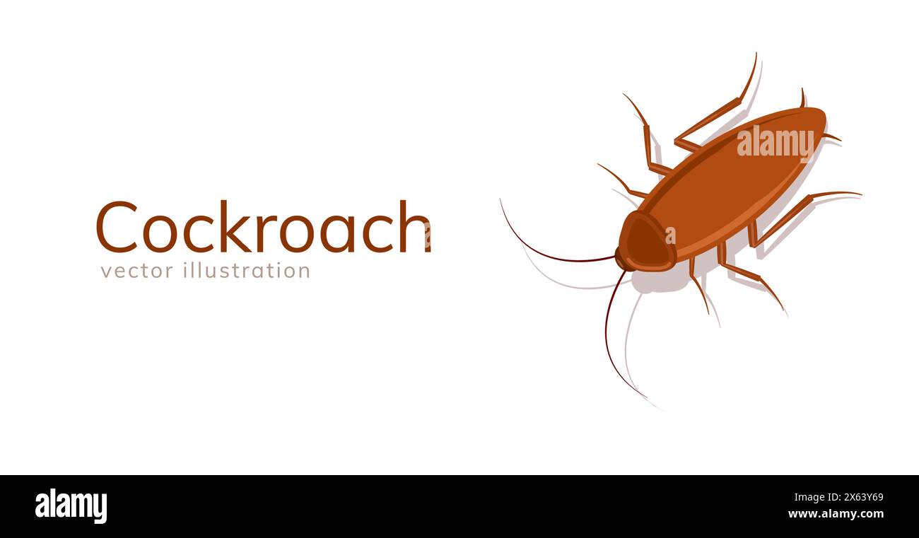 Cockroach bug vector icon. Roach silhouette insect black icon ...