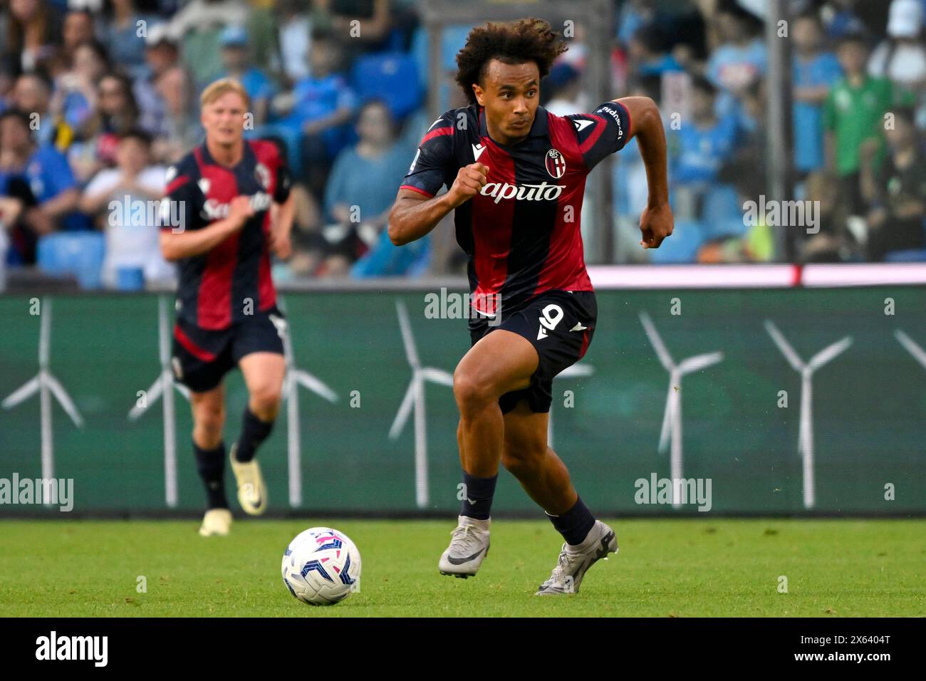 Joshua Zirkzee of Bologna FC in action during the Serie A football ...