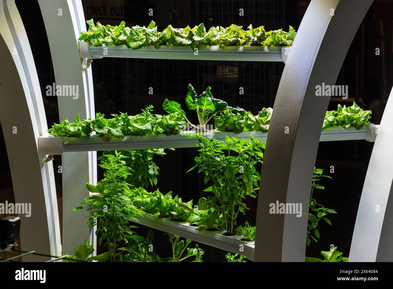 Hojas de mercado hi-res stock photography and images - Alamy