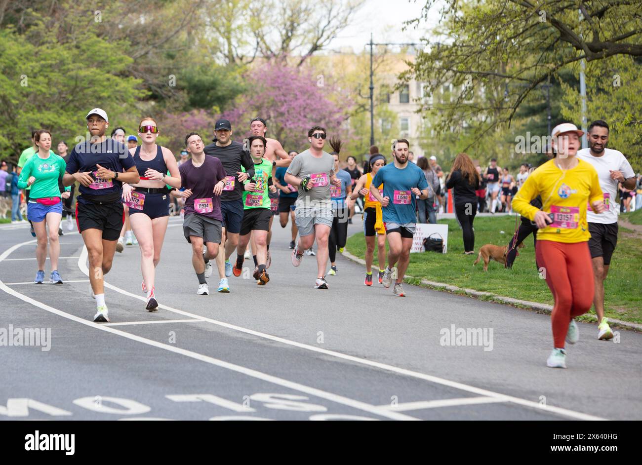 Runners in the last stretch of the Brooklyn Half Marathon inside ...