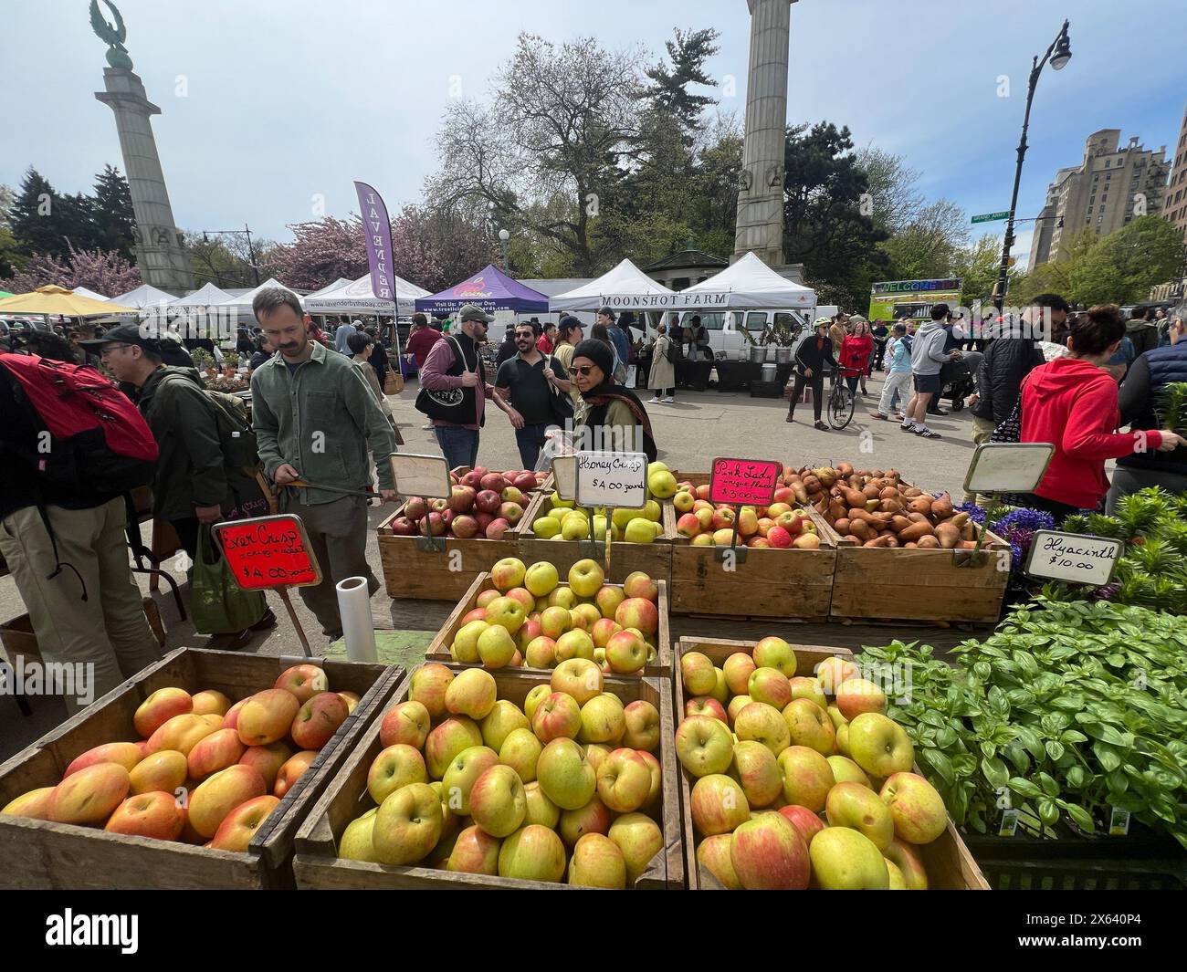 Residents of Brooklyn new York shop at the Grand Army Plaza Farmers ...