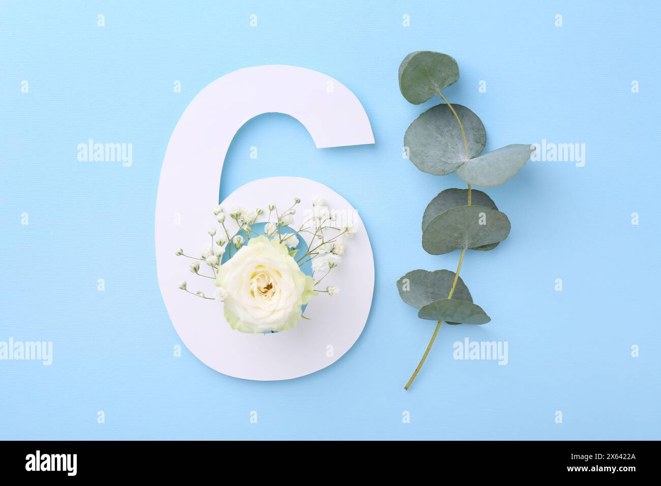 Paper number 6, beautiful flowers and eucalyptus branch on light blue ...