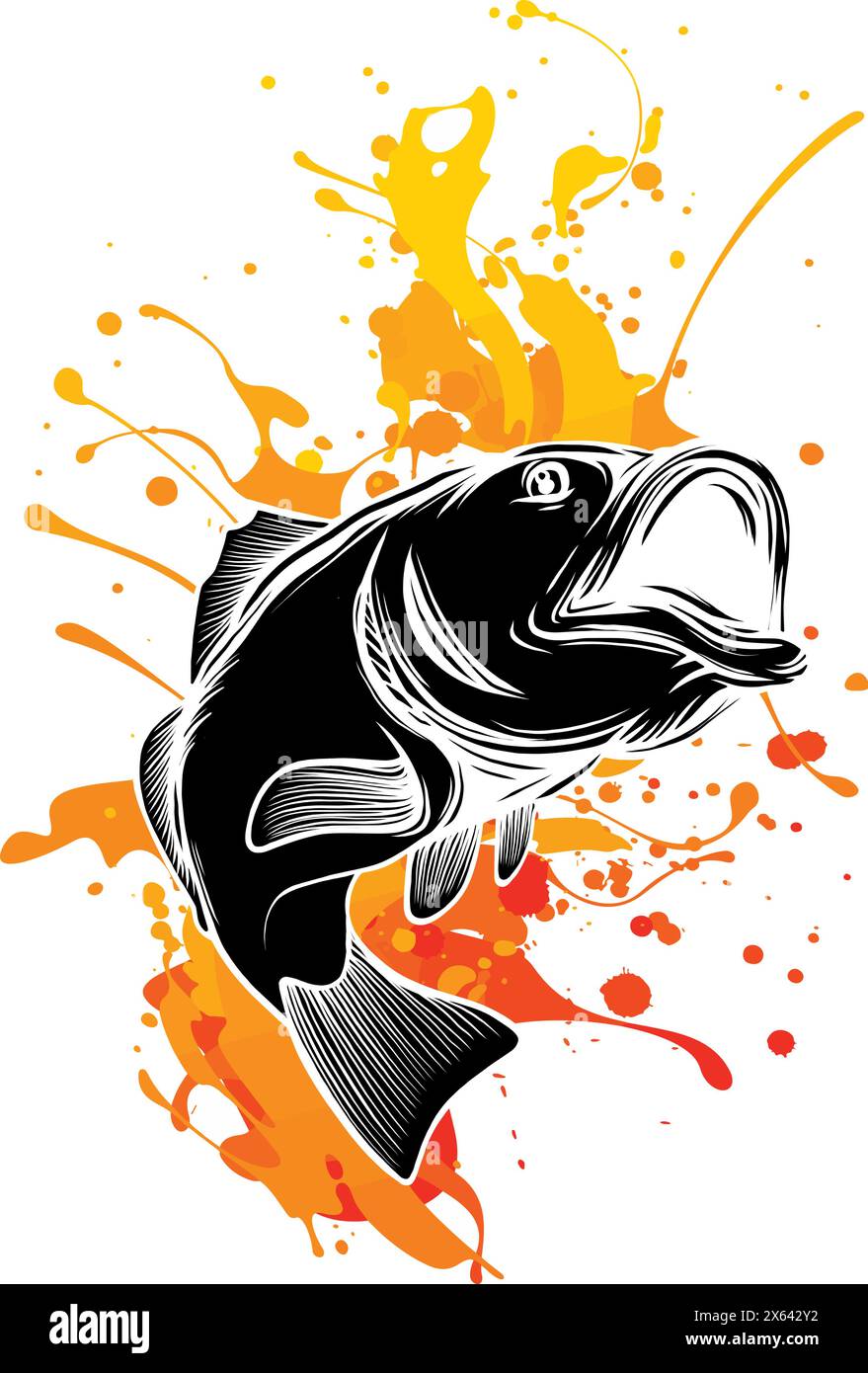 vector illustration of bass fish on white background. digital draw ...