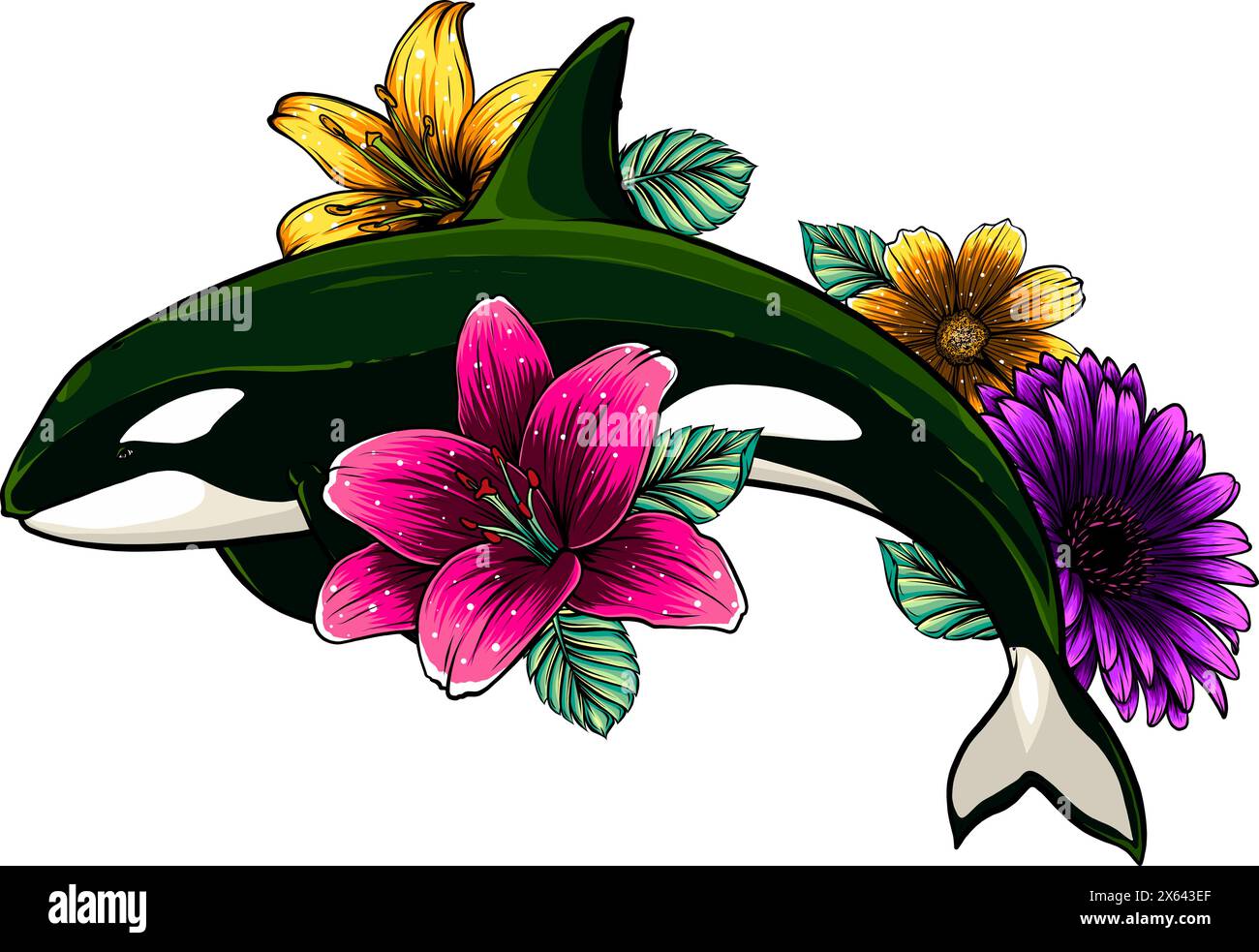 Killer Whale jumping out of water vector illustration isolated on white ...