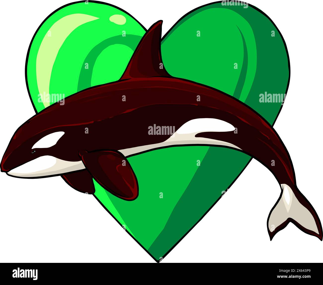 vector illustration of Orca whale jumping on white background Stock ...