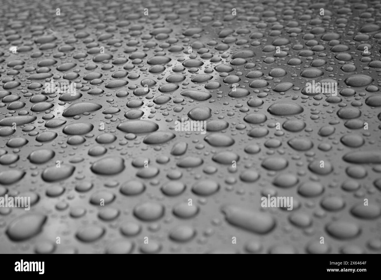 Rainwater Droplets on Shiny Metallic Chrome Silver Background Stock ...