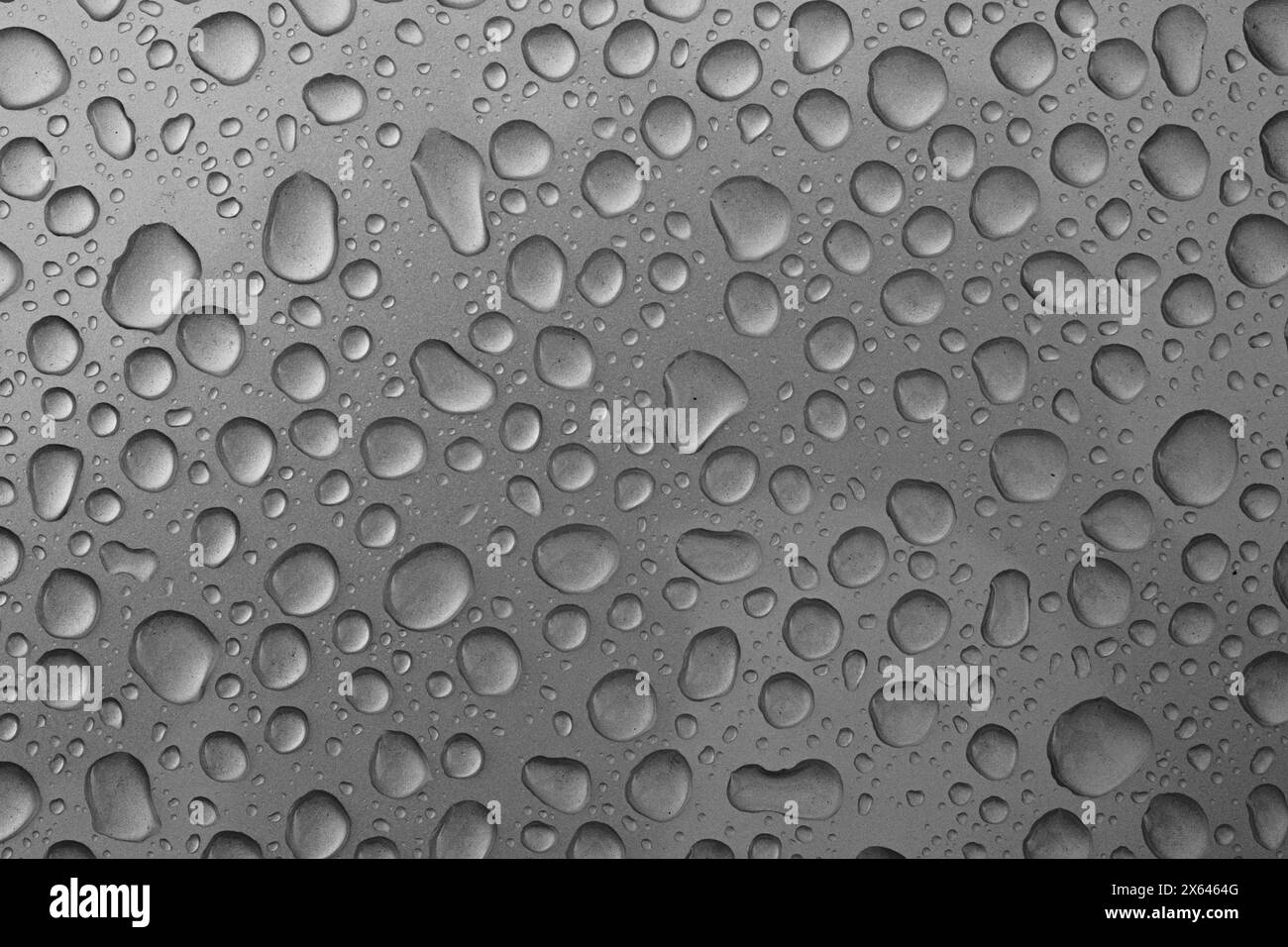 Rainwater Droplets on Shiny Metallic Chrome Silver Background Stock ...