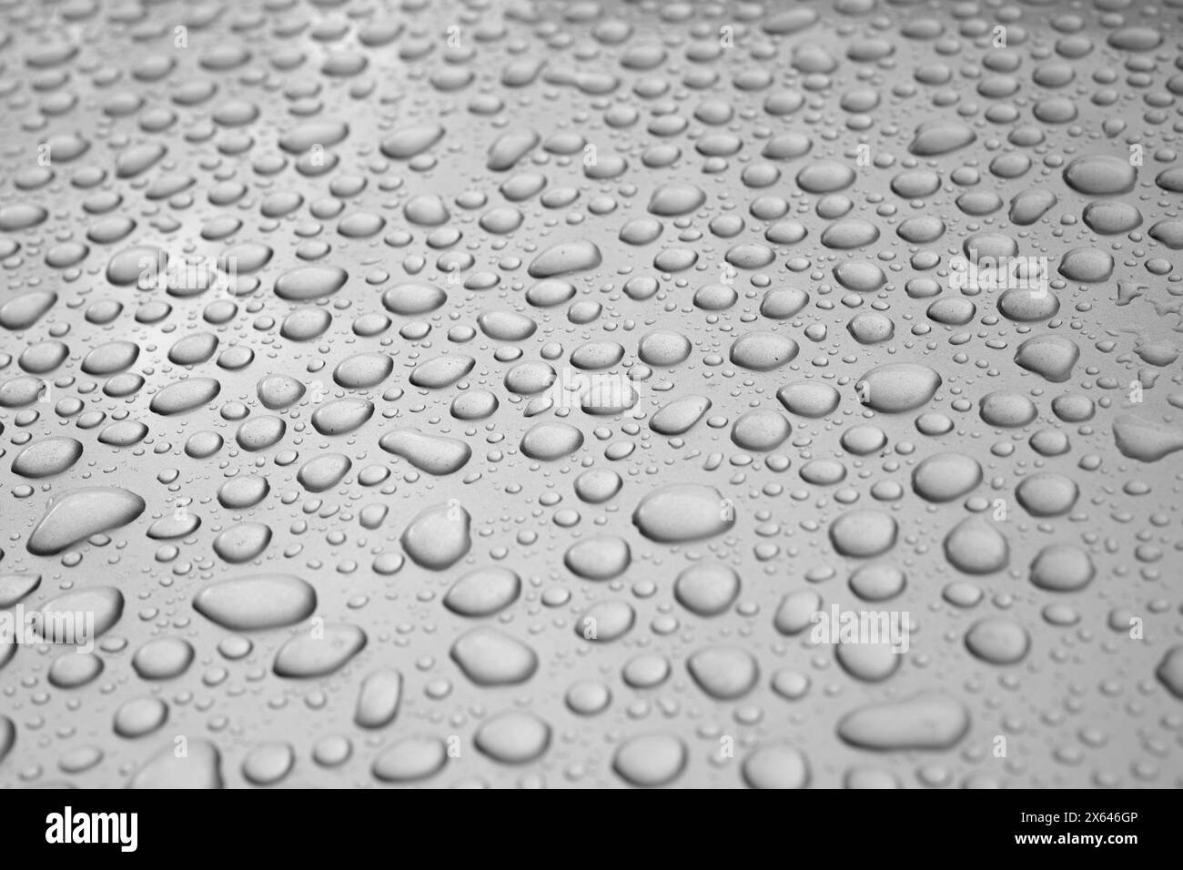 Rainwater Droplets on Shiny Metallic Chrome Silver Background Stock ...