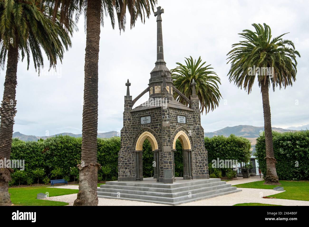 New zealand palm tree hi-res stock photography and images - Alamy