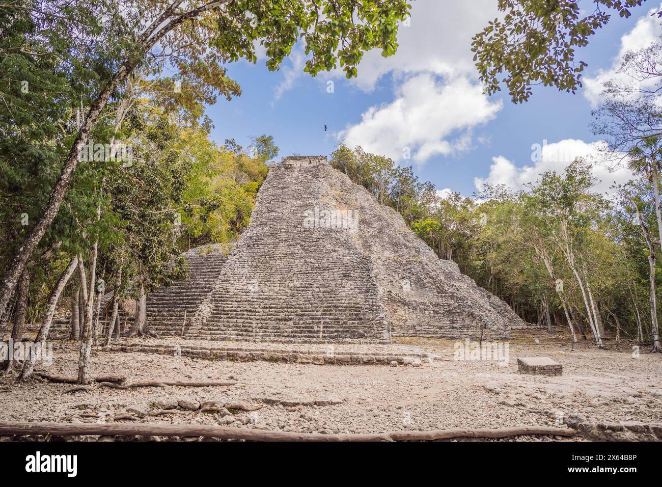 Coba, Mexico. Ancient mayan city in Mexico. Coba is an archaeological ...