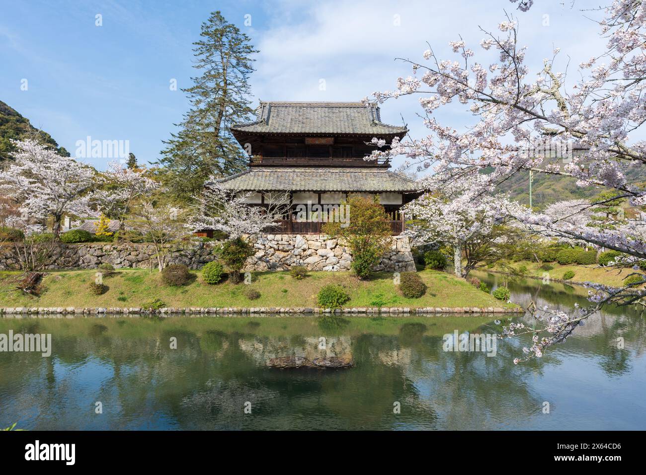 Kinunkaku Pavilion alongside the moat in Kikko Park. Cherry blossoms ...