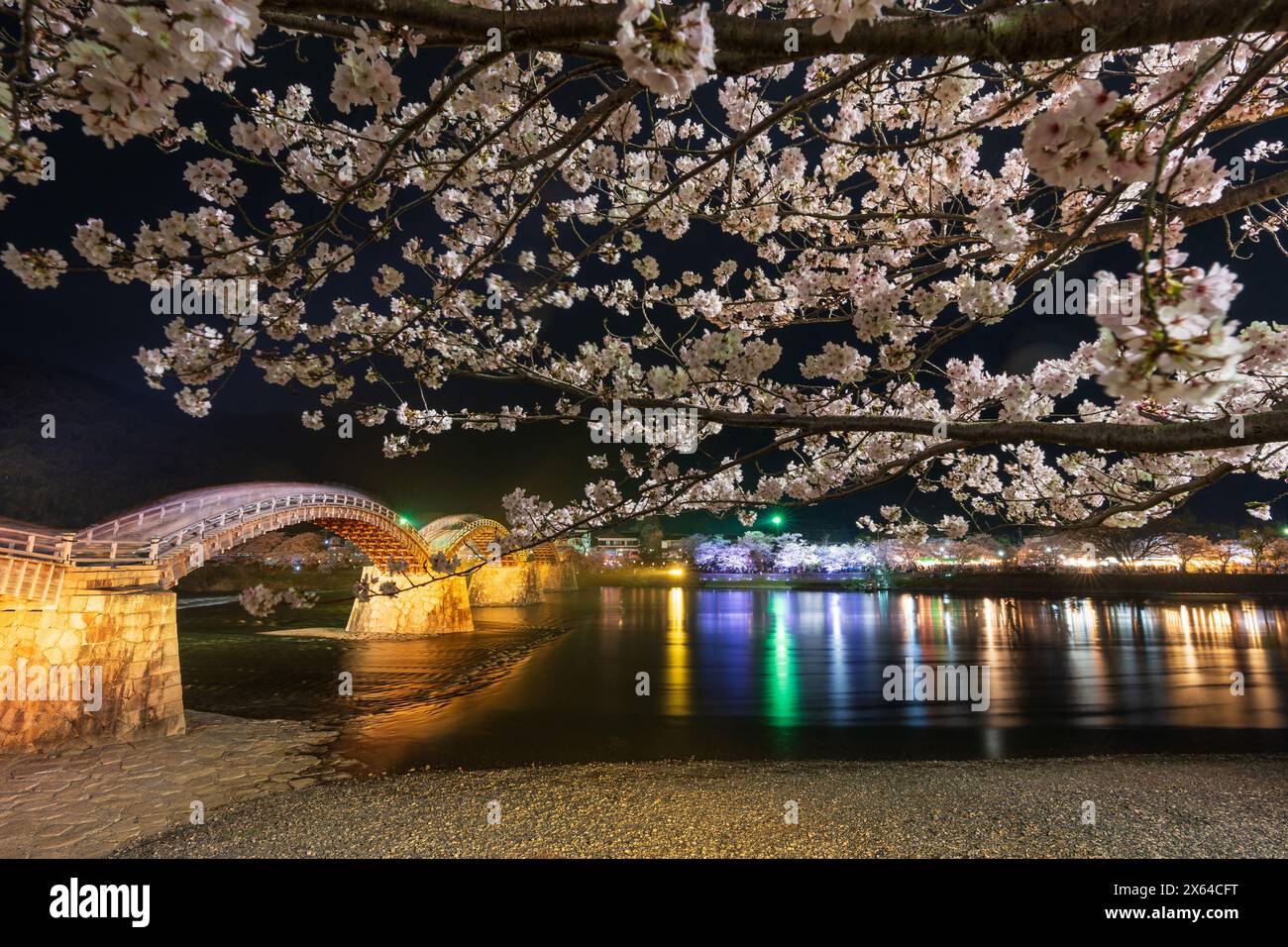 Kintai Bridge Sakura festival. Cherry blossoms along the Nishiki River ...