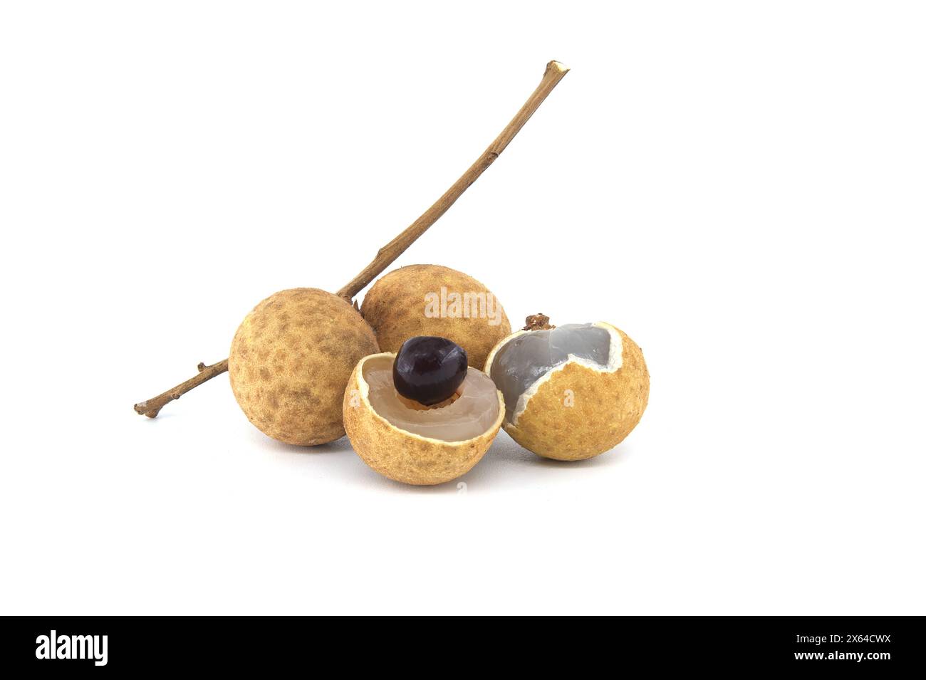 Longan fruits on branch, one of the fruits is cut open, displaying its ...
