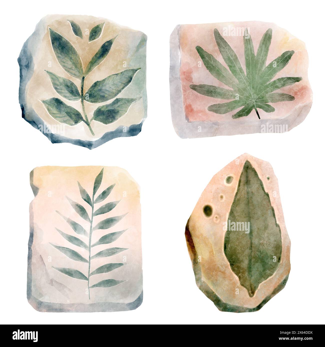 Fossil of plant in rock . Watercolor paint design . Illustration Stock ...