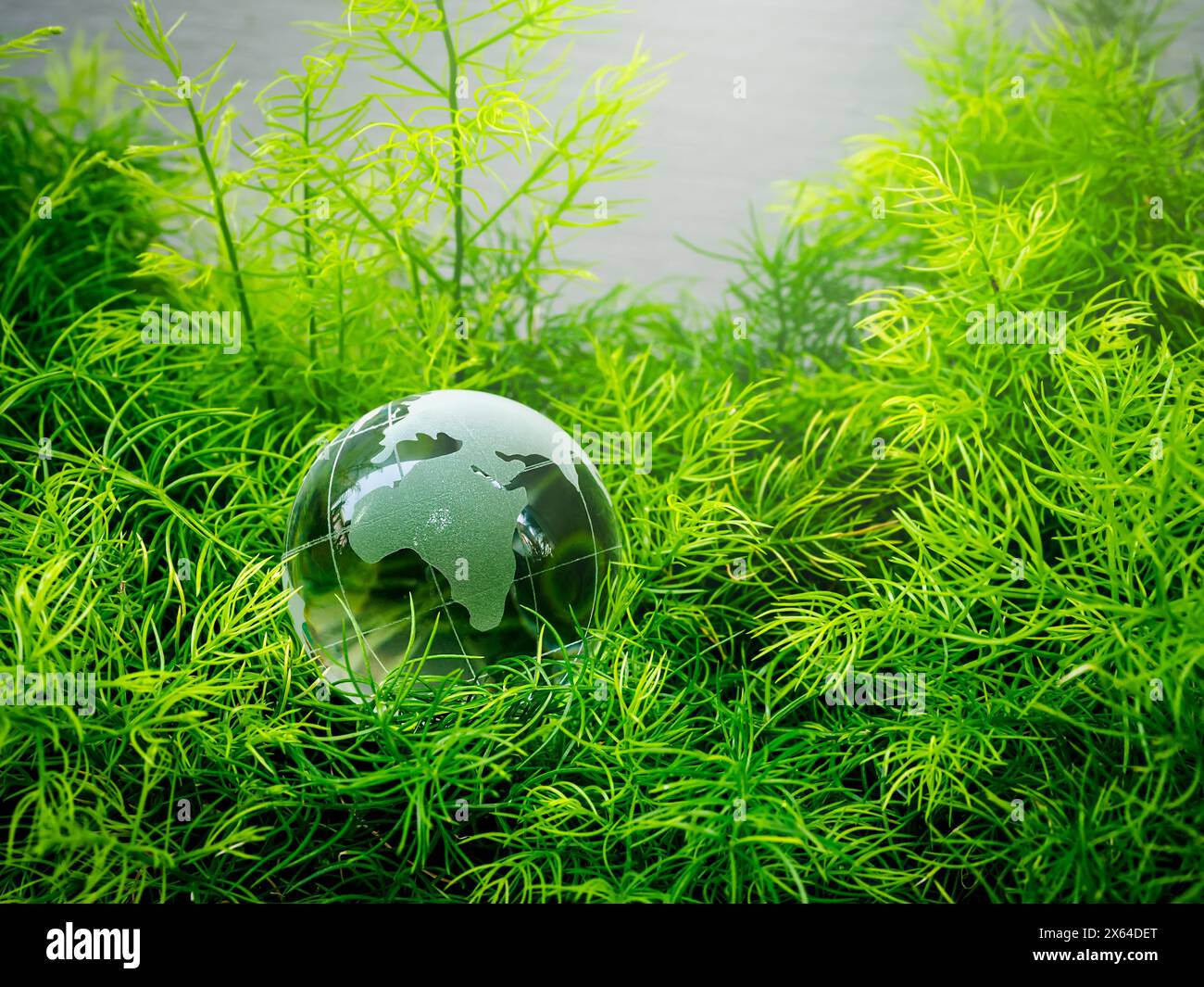 Close-up a small glass earth globe on green nature bush and white ...