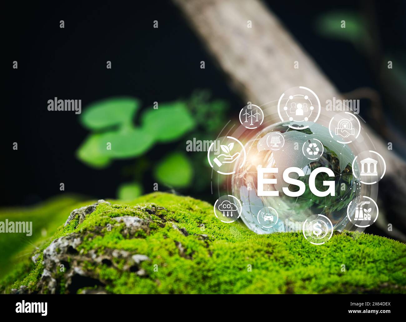 Environmental, social, and corporate governance, environment ...