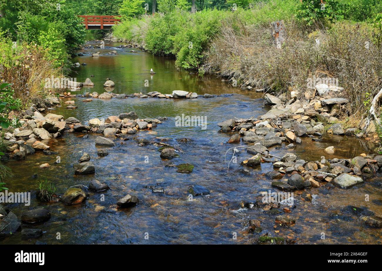 Pine grove furnace hi-res stock photography and images - Alamy