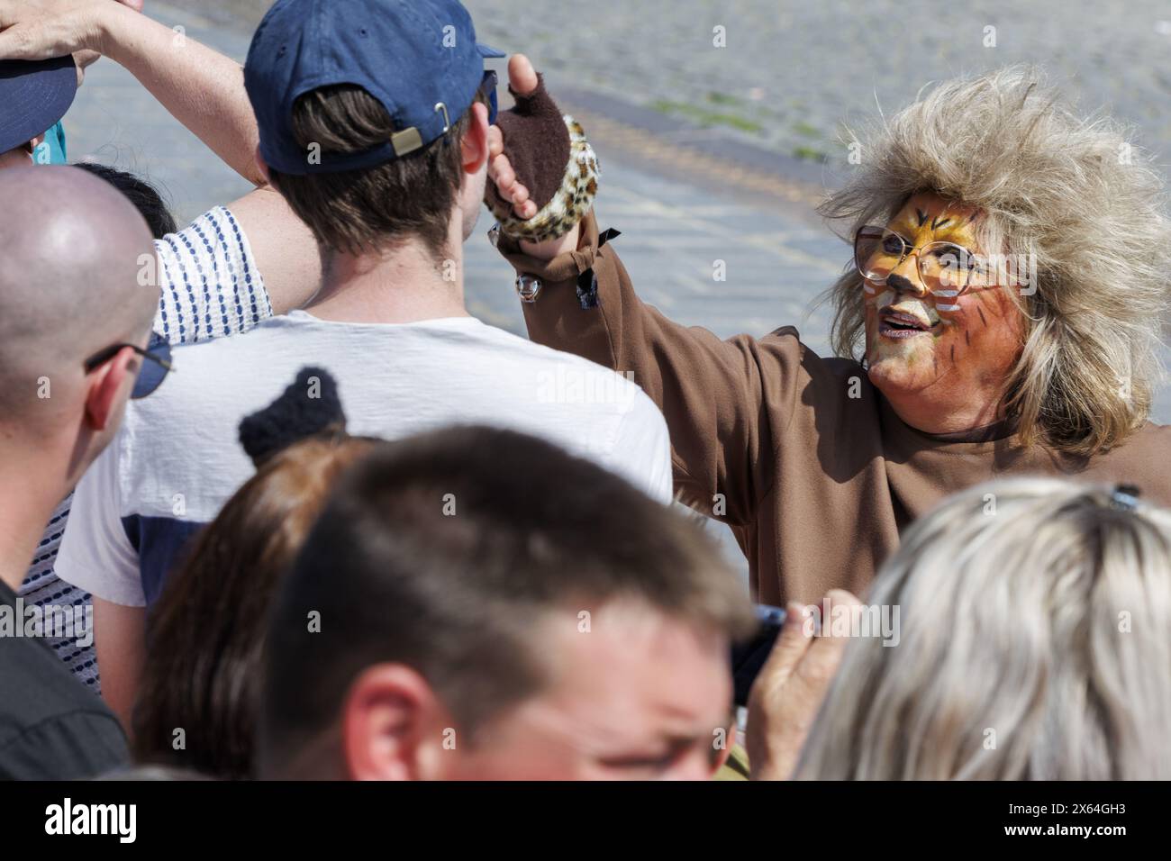 This picture shows the Kattenstoet cat parade in Ieper on Sunday 12 May ...