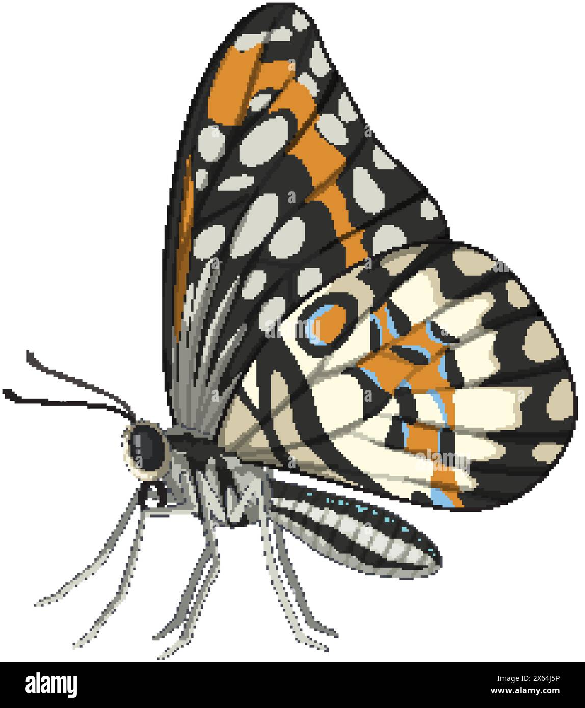 Lifecycle of a butterfly Cut Out Stock Images & Pictures - Alamy