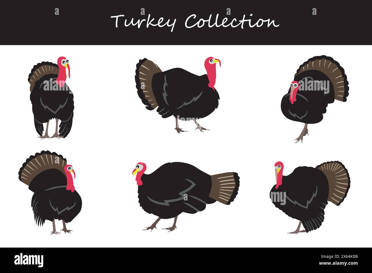 Turkey collection. Turkey in different poses. Vector illustration Stock ...